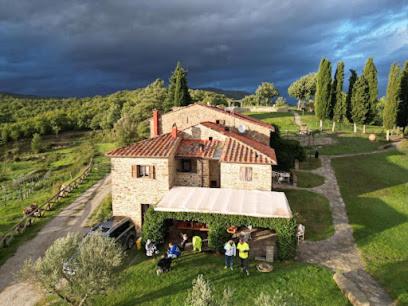 Agriturismo D'ambiano - Provincia di Arezzo
