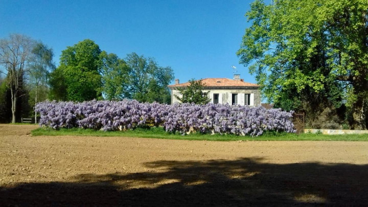 Chez Savary - Nouvelle-Aquitaine