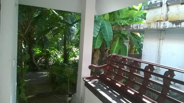 Coconut Grove - Kerala