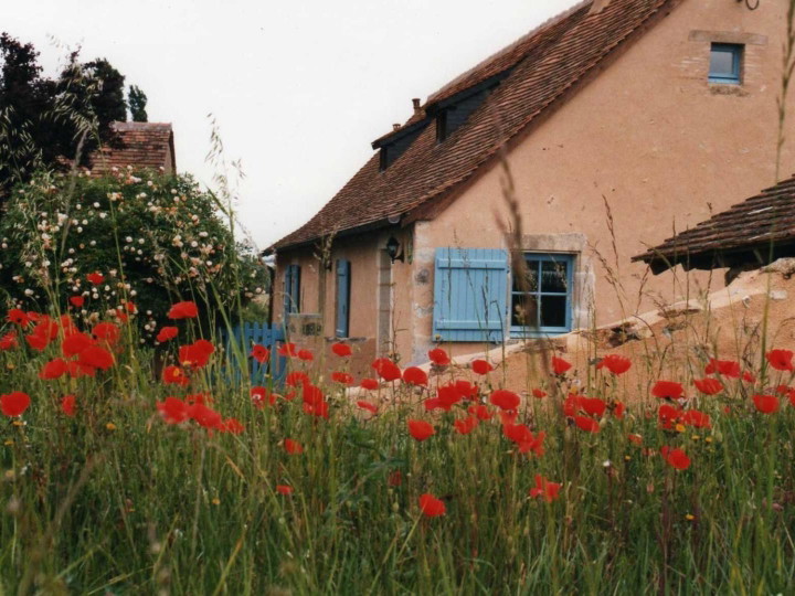 Charmante Maison Paysanne Rénovée Avec Grand Terrain, Proche De La Rivière Et Du Village Médiéval - Fr-1-410-162 - Vallée de la Loire