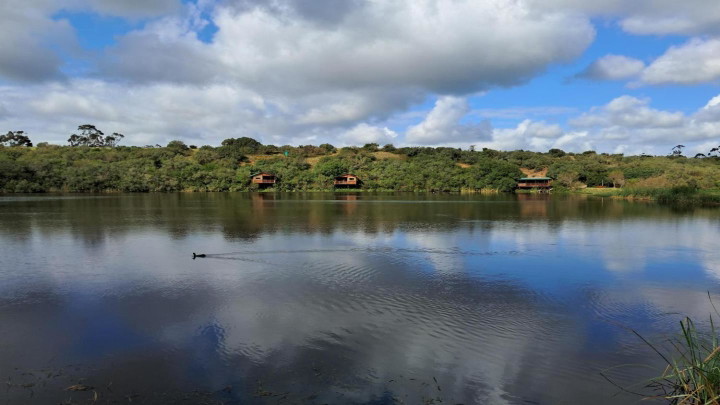 Fleckvieh Guest Farm - Barrydale