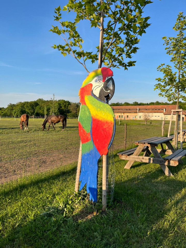 Zoofarma Penzion Konírna - Tschechien