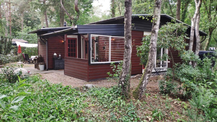 Bosbungalow De Eekhoorn - Nunspeet