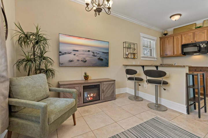 Heart Of Hyde Park Tampa/parking/netflix/gym - Tampa, FL