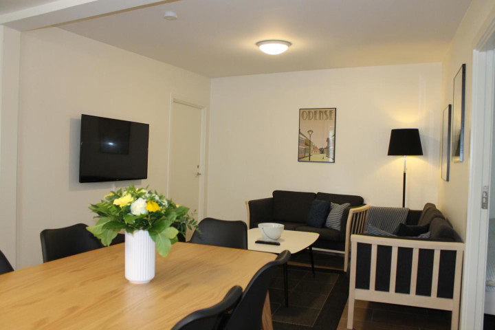 Odense Apartments - Odense