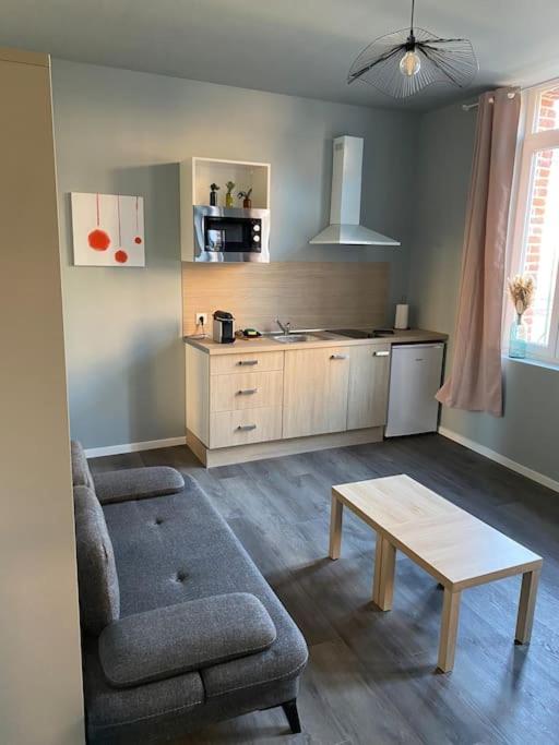Cambrai:magnifique Studio - France