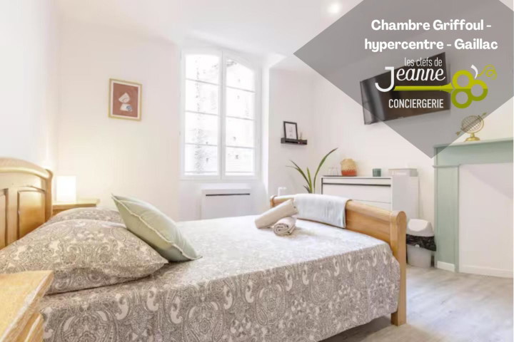 Suite Griffoul - Hypercentre De Gaillac - Gaillac