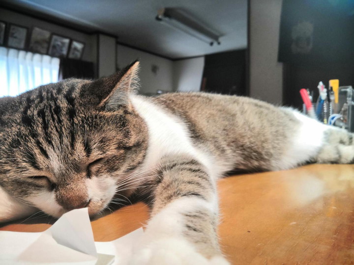 Tiny Guesthouse Umekoji 梅小路 - Kyoto