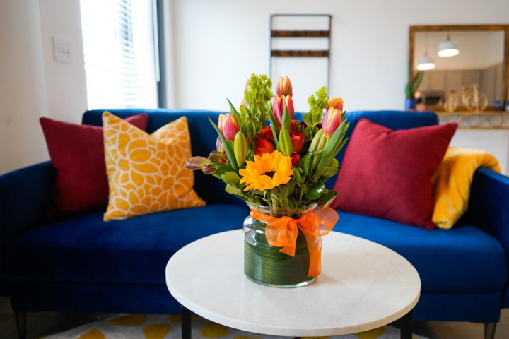 The Sunflower Suite - Lawrence, KS