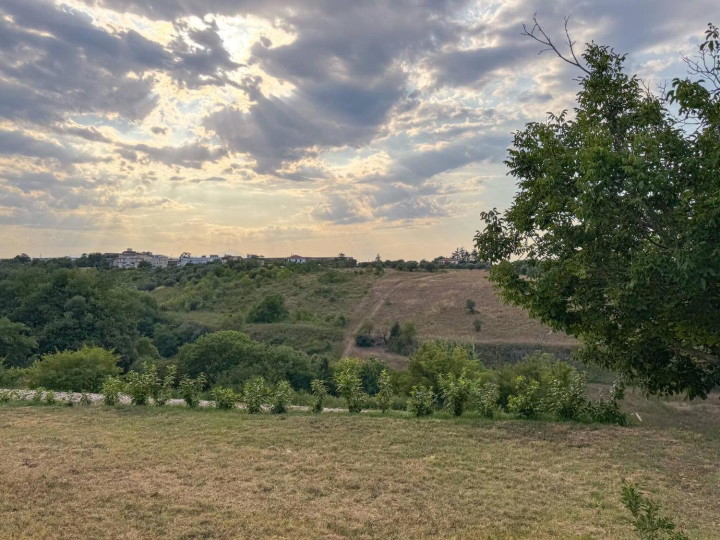 Allombra Della Quercia - Ortona