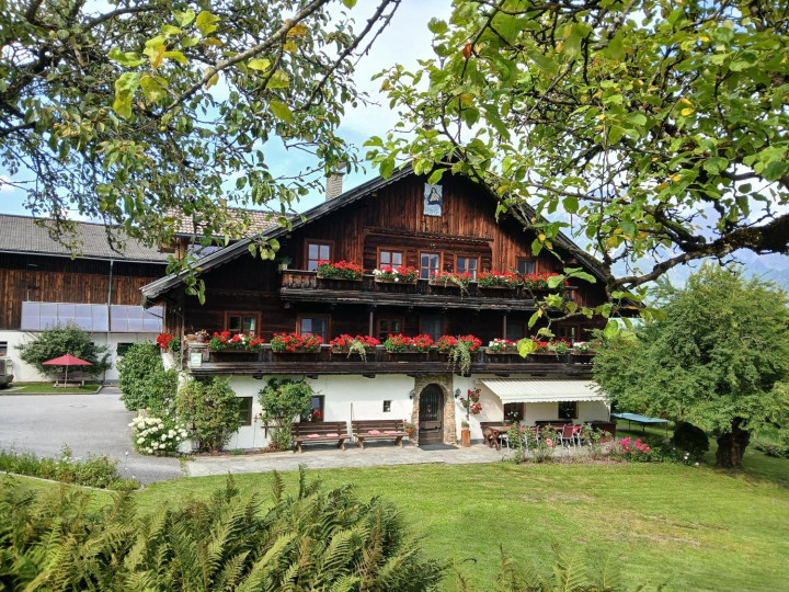 Hinterburghof - Saalfelden
