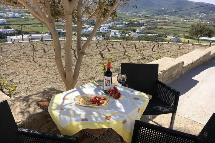 Grape Yard Apartment - Paros