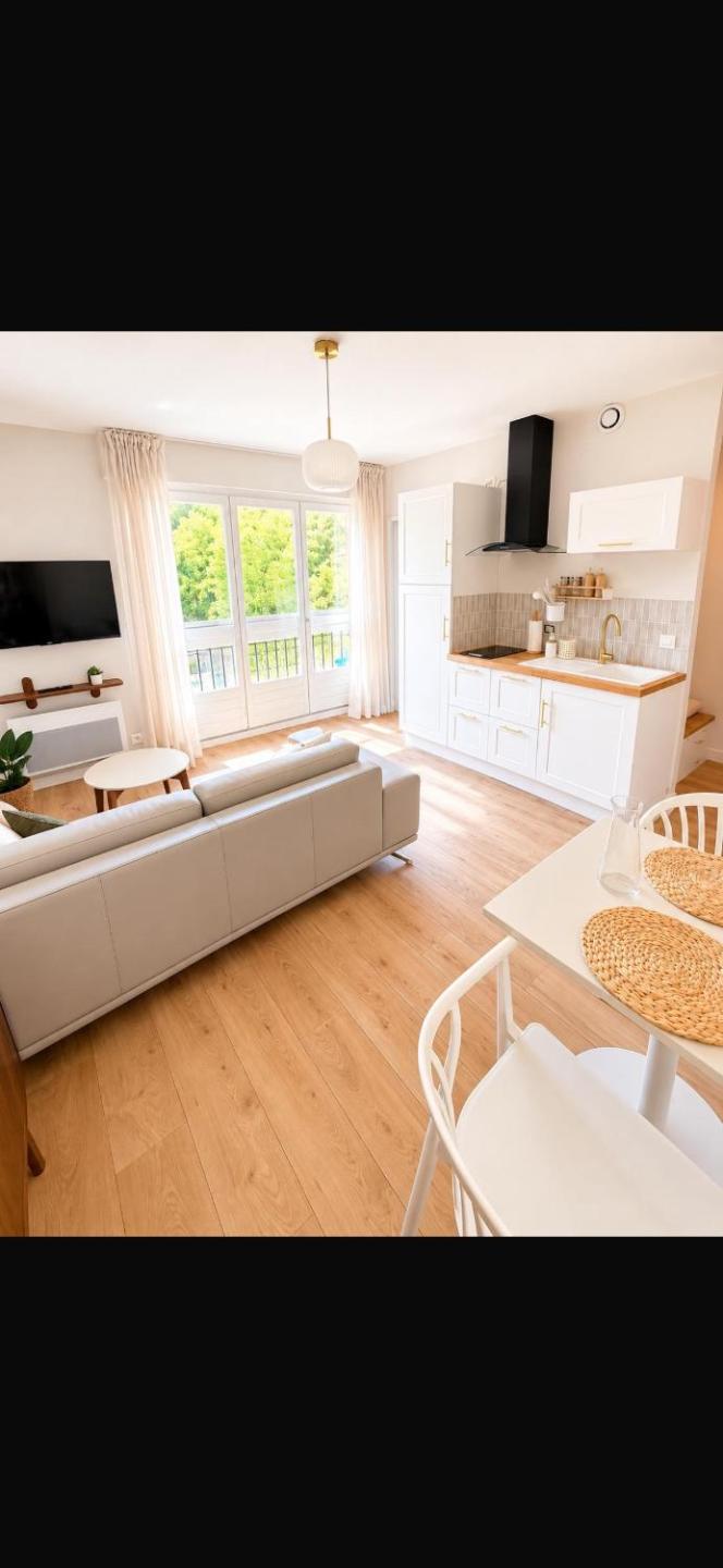 T2 Cosy Au Bord Des Berges Centre-ville - Francia