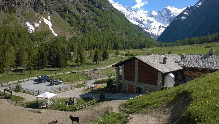 La Ferme Du Grand Paradis - Cogne