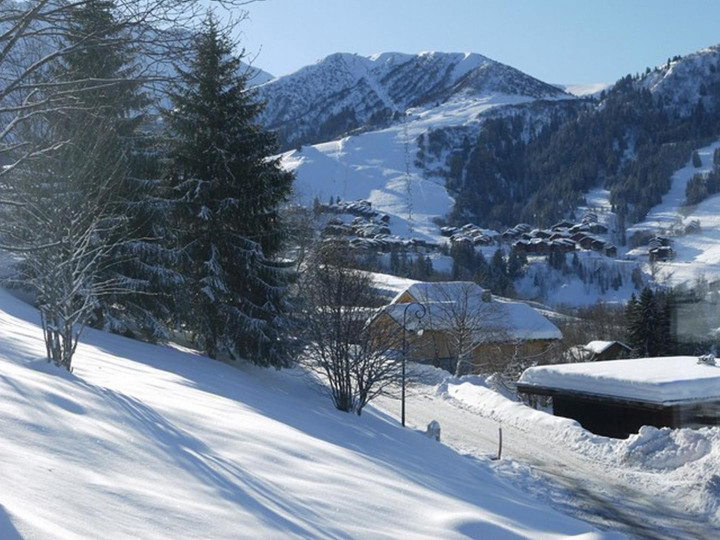 Chalet La Ravine - Les Avanchers-Valmorel