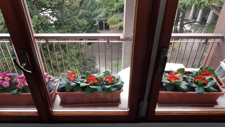B&b Xenia - Pordenone