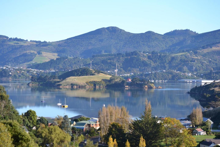 Treetops B&b - Dunedin
