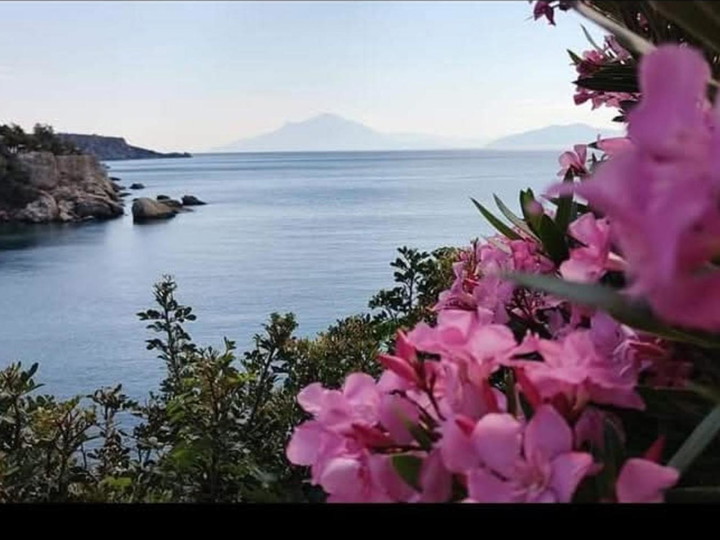 Lydia Mare - Greece