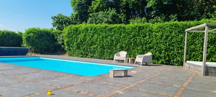 8 Person Apartment With Heated Swimmingpool Hoek Van Winssen - Wageningen