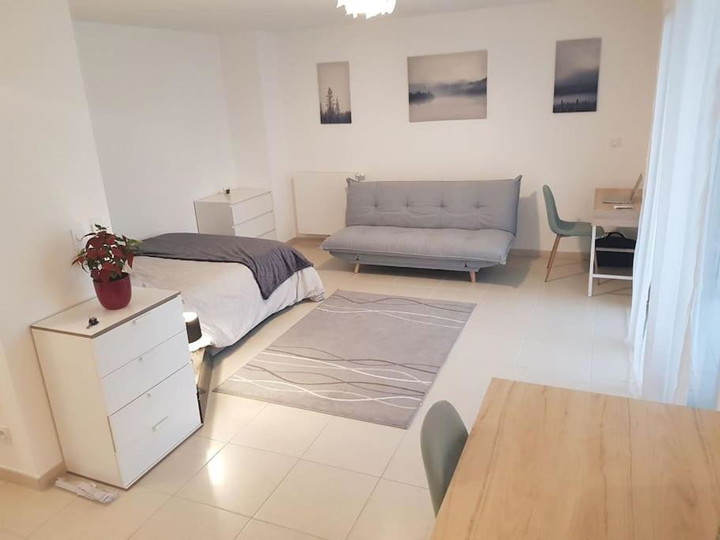 Cosy New Studio Close To Airport, Un, Palexpo ! - Divonne-les-Bains