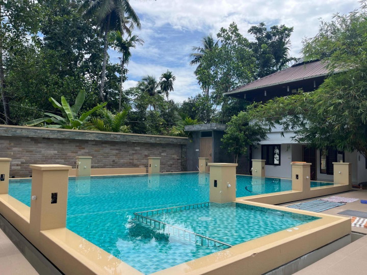 Coconut Garden - 