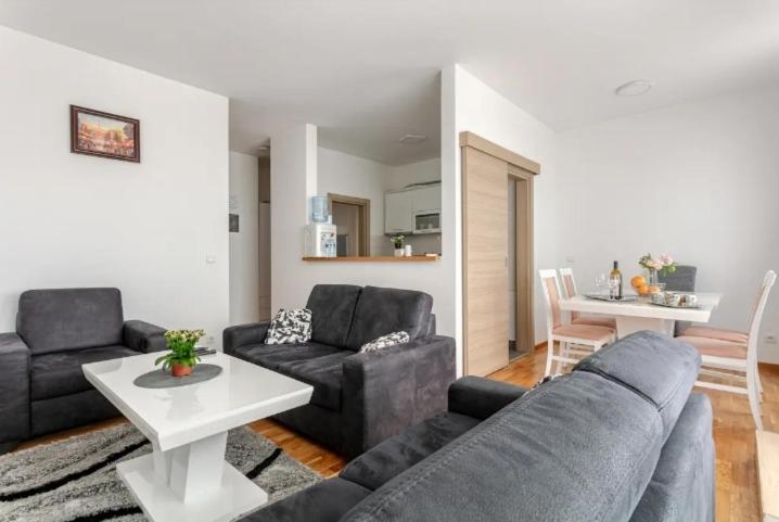 Penthouse Danube Exclusive, Parking, 90m2, Wifi - Belgrad