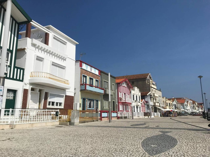 Captain Pisco's Palheiro - Great Location - Aveiro