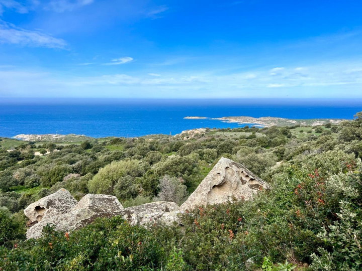 Chez Mina - Corsica