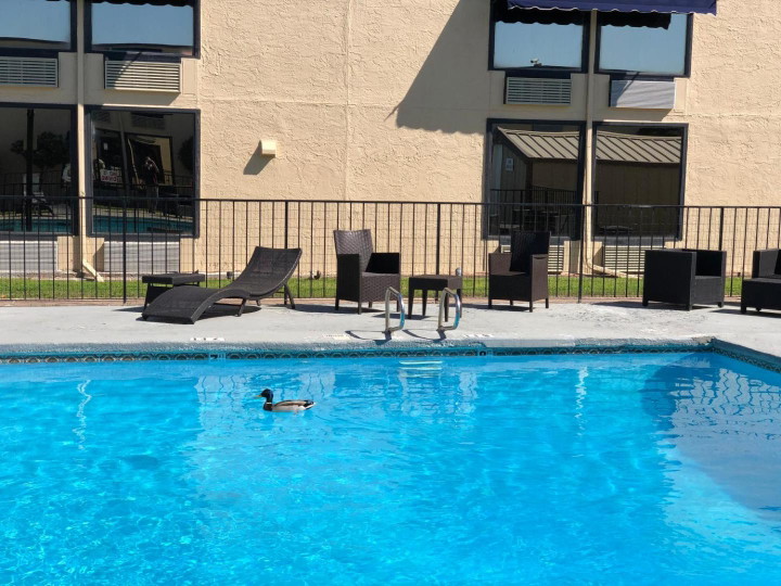 Abilene Whitten Inn - Abilene, TX