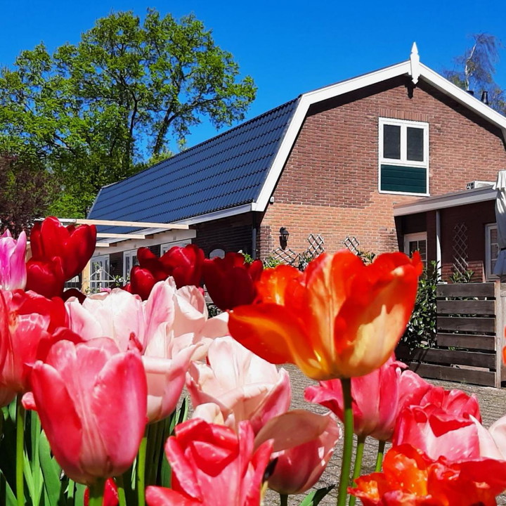 B&b De Hoffstal - Noordwijkerhout