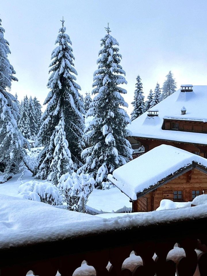 Chalet Con Vista - Les Diablerets