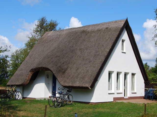 Doppelhaushälfte In Vitte Auf Hiddensee - Hiddensee