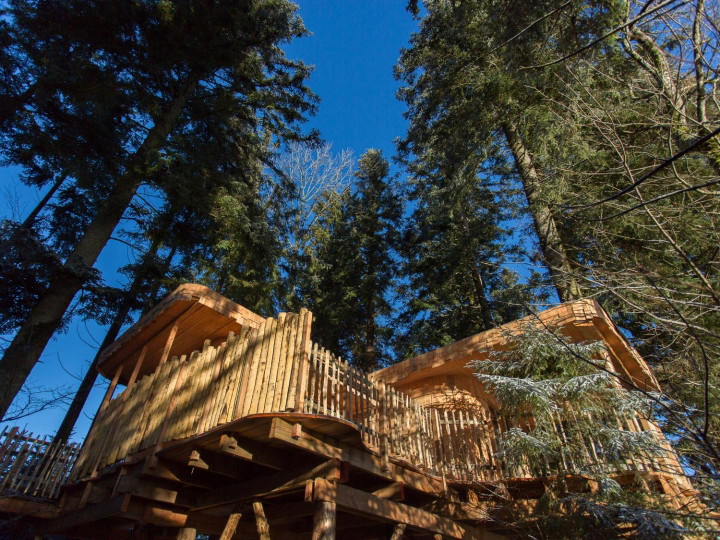 Domaine De L'authentique Cabanes Dans Les Arbres - Le Locle