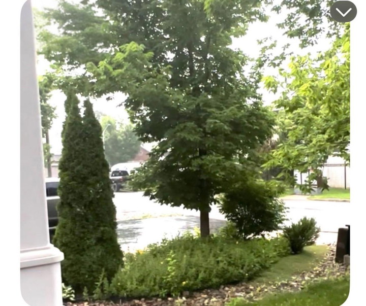 Peaceful Escape - Gatineau