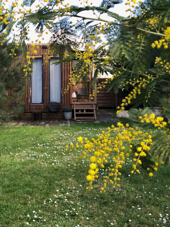 Les Suites D'aliénor-suite Mimosa - Pessac