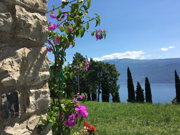 Agriturismo Casa Del Castagneto - Gargnano