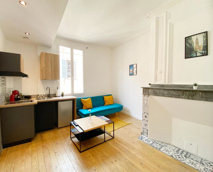 Hypercentre Toulouse 6 Joli Appartement Climatisé Et éQuipé - Aucamville