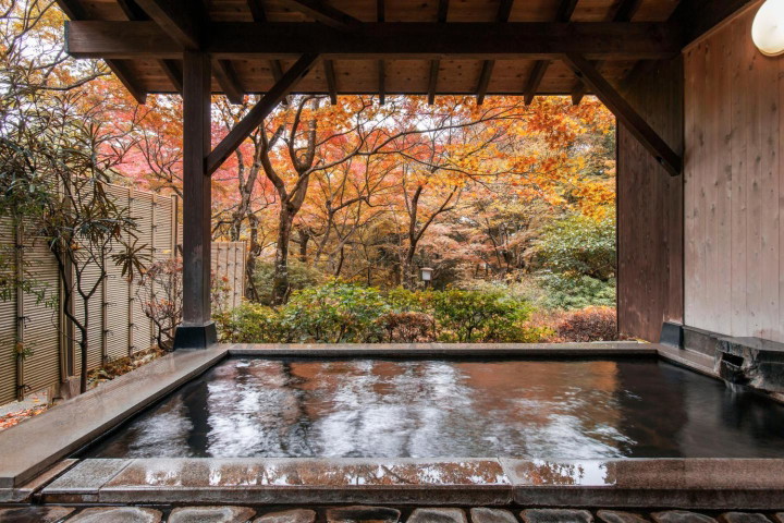 Gora Kansuiro - Hakone