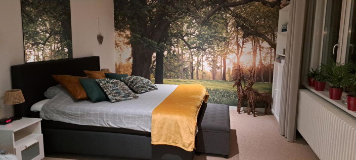 De Beukenboom Bed And Breakfast - Sittard