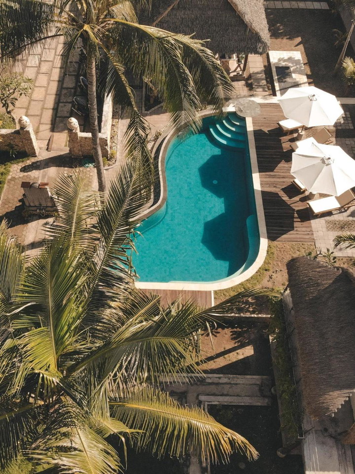 Tentacle Bali - Bali