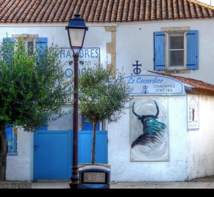 Le Cocardier - Arles