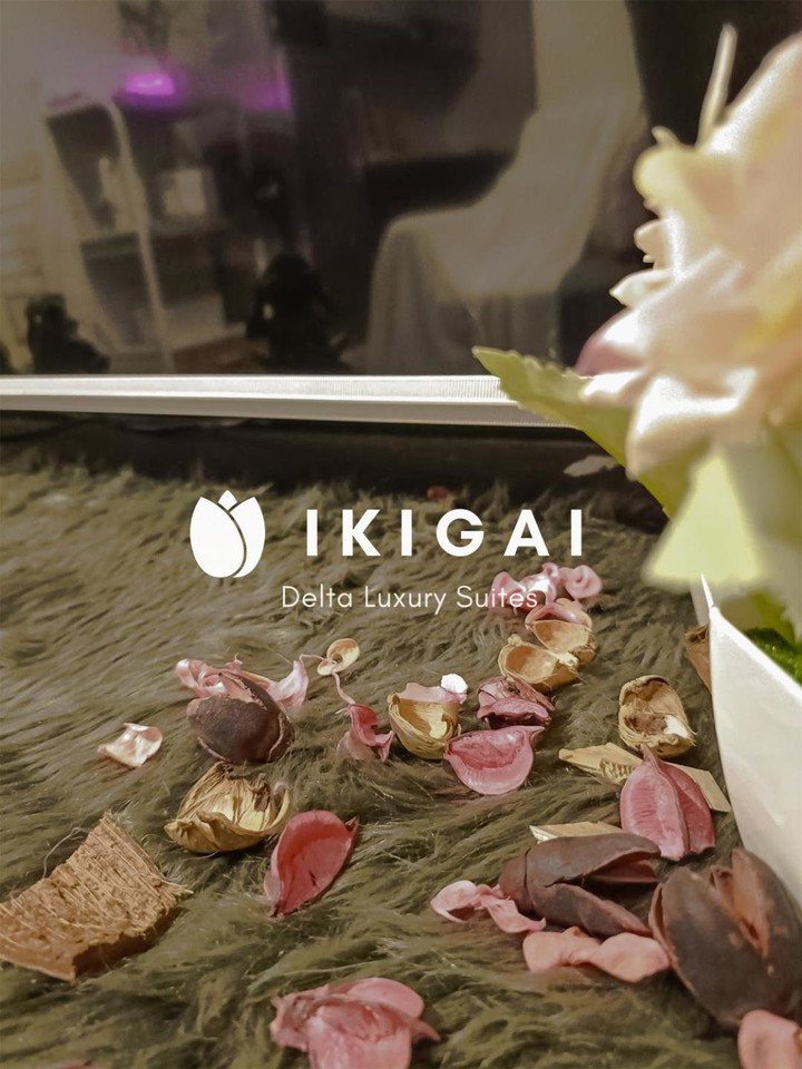 Ikigai Delta Makati Condo Luxury Sunset View - Manila
