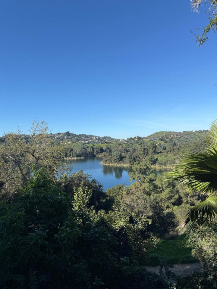 Peaceful Zen,1bdr Home In Hollywood Hills - Hollywood