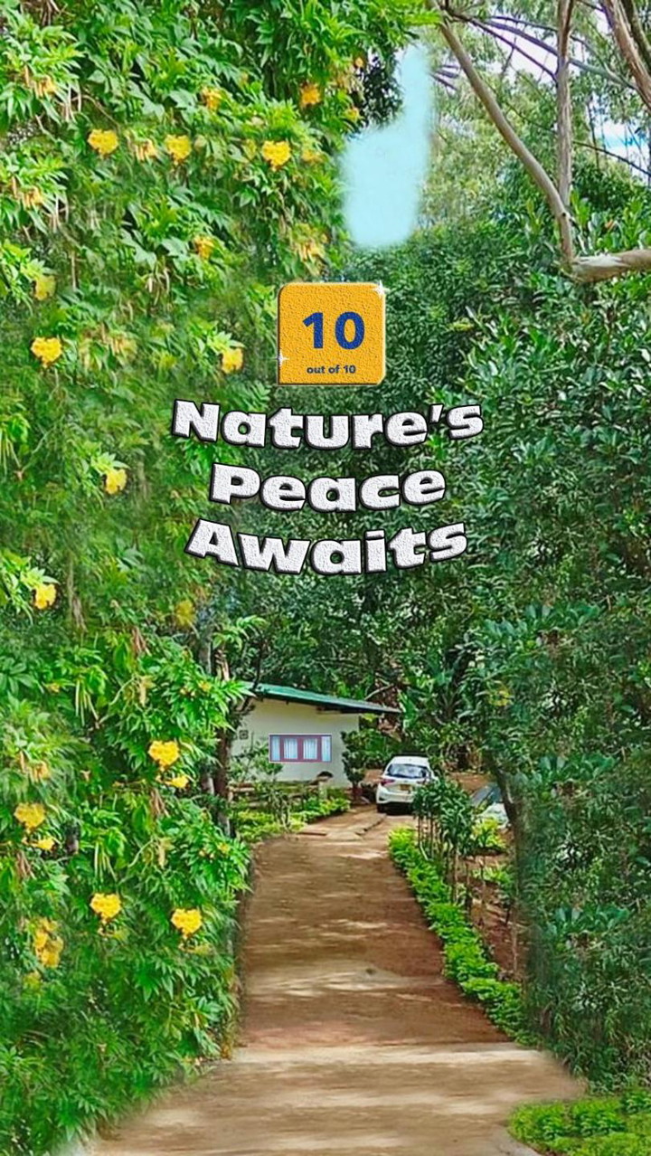 Modern Nature Lodge - Private Holiday Home - Sri Lanka