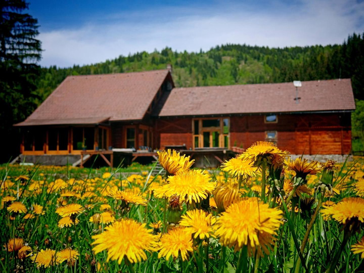 Crossline Lodge - Gyergyószentmiklós