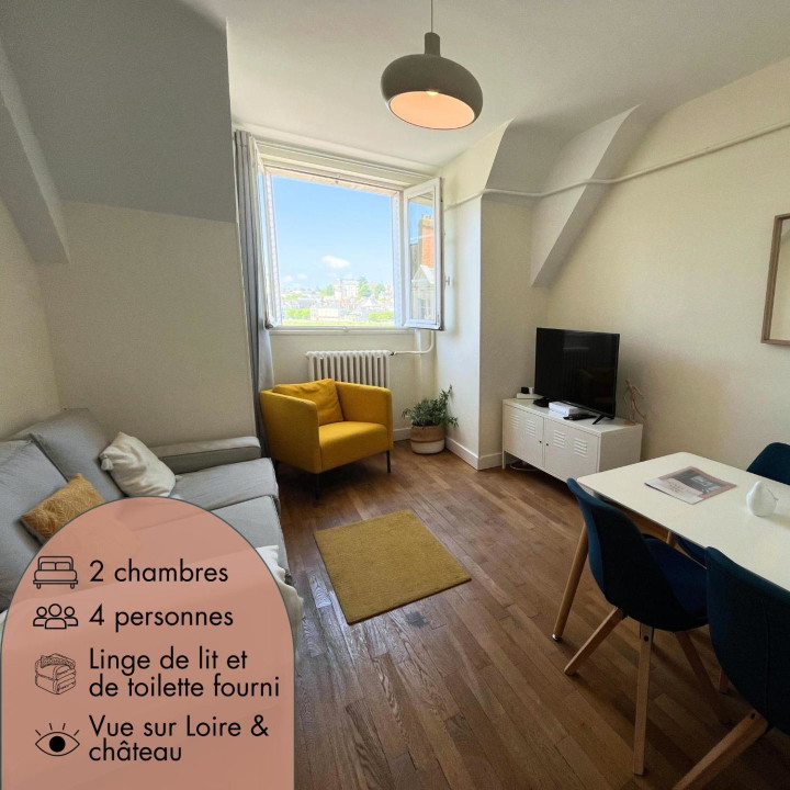 Le Wilson - Vue Imprenable Sur La Loire Et Le Château De Blois - Blois