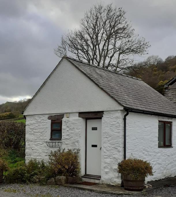 Y Llew Bach, The Tiny House - Snowdonia National Park