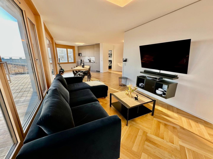 Cosy Apartment In Lausanne - Lausanne