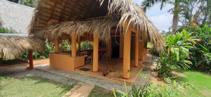 Casa 3 Amigos-palm Roofed House - Dominica