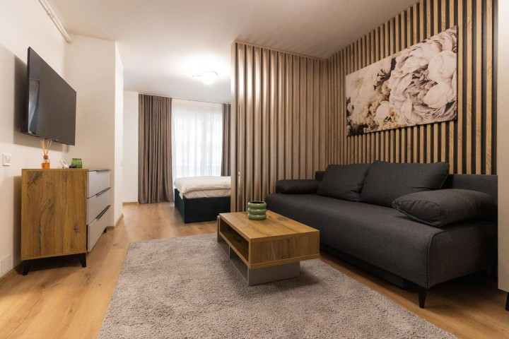 Bcb Aparts Cozy Studio - Cluj-Napoca